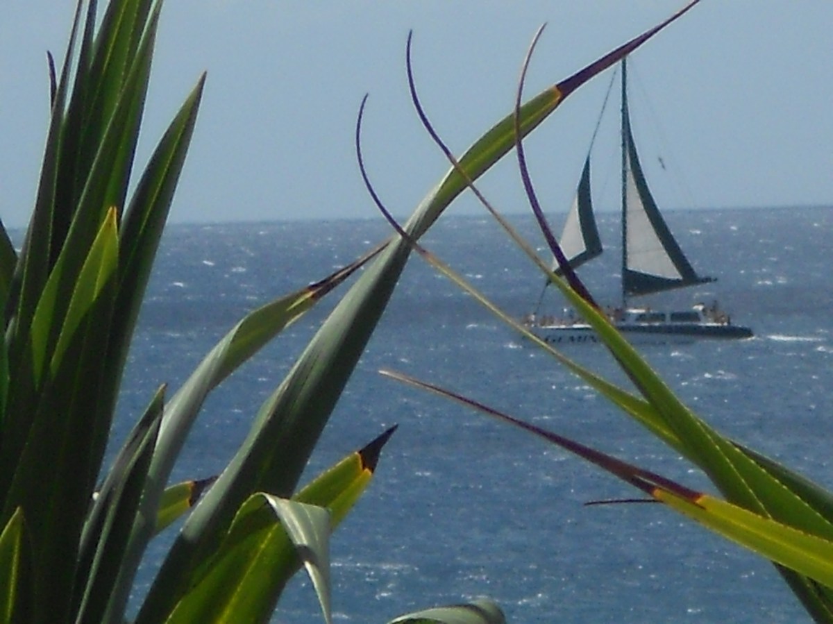 David’s Books – David Freitag