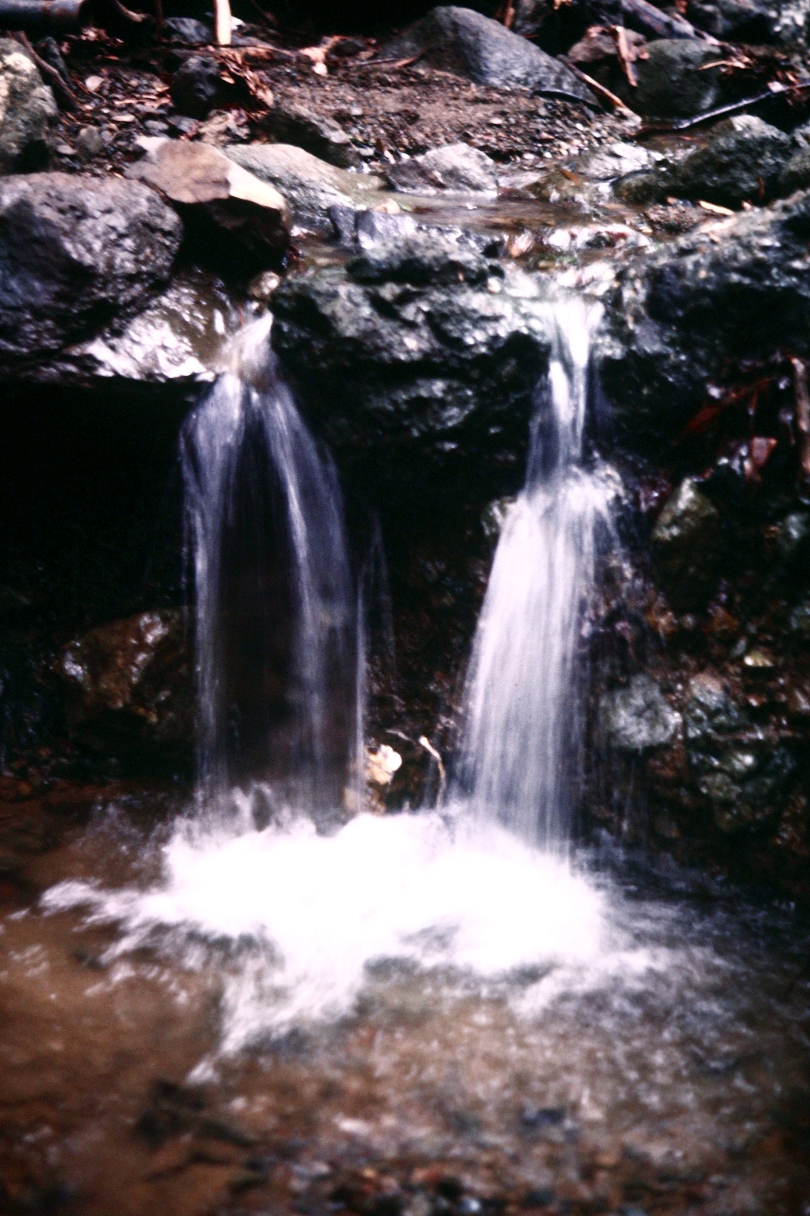 The Renewing of Our Mind – David Freitag