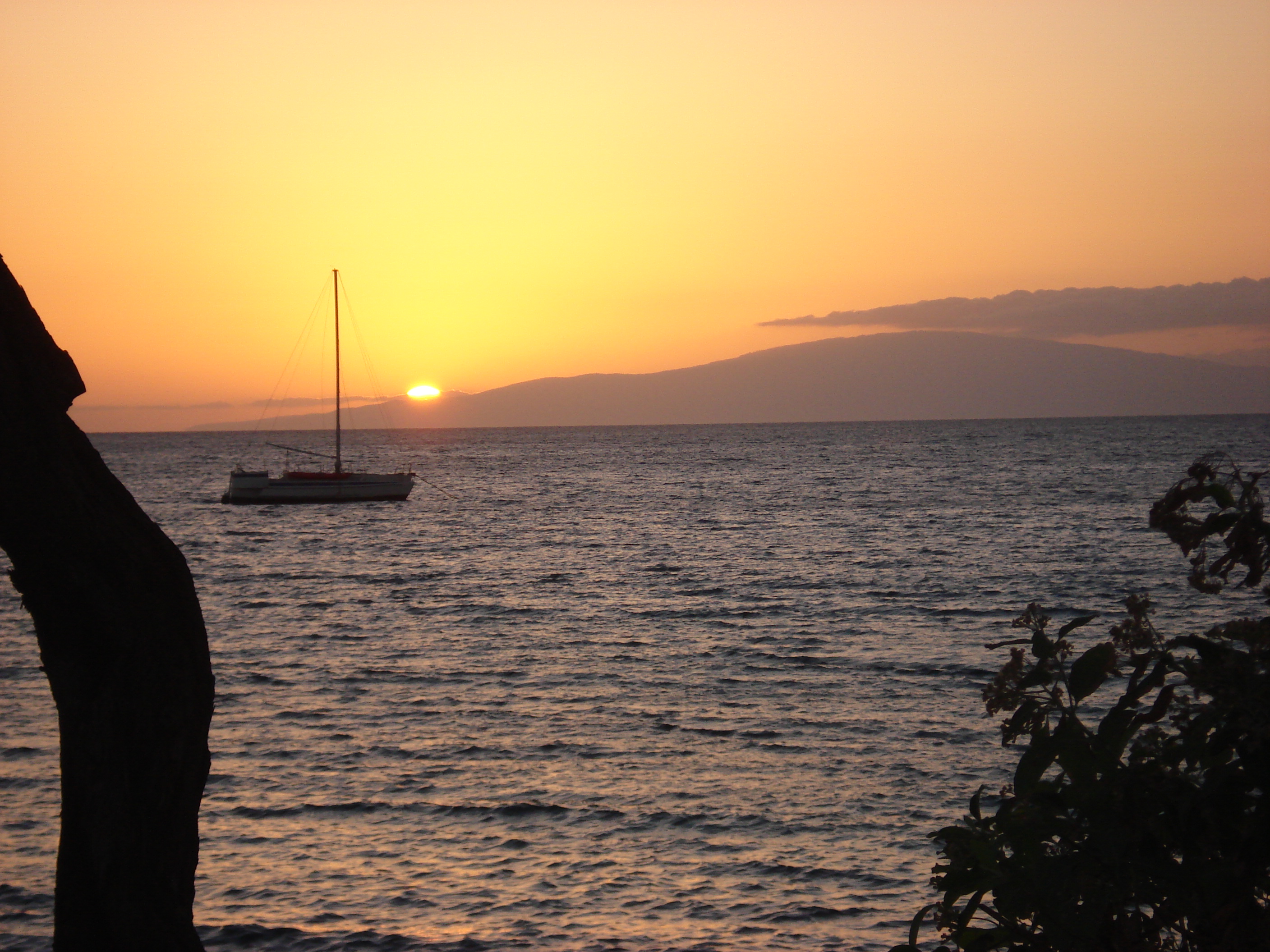 Understanding God – David Freitag