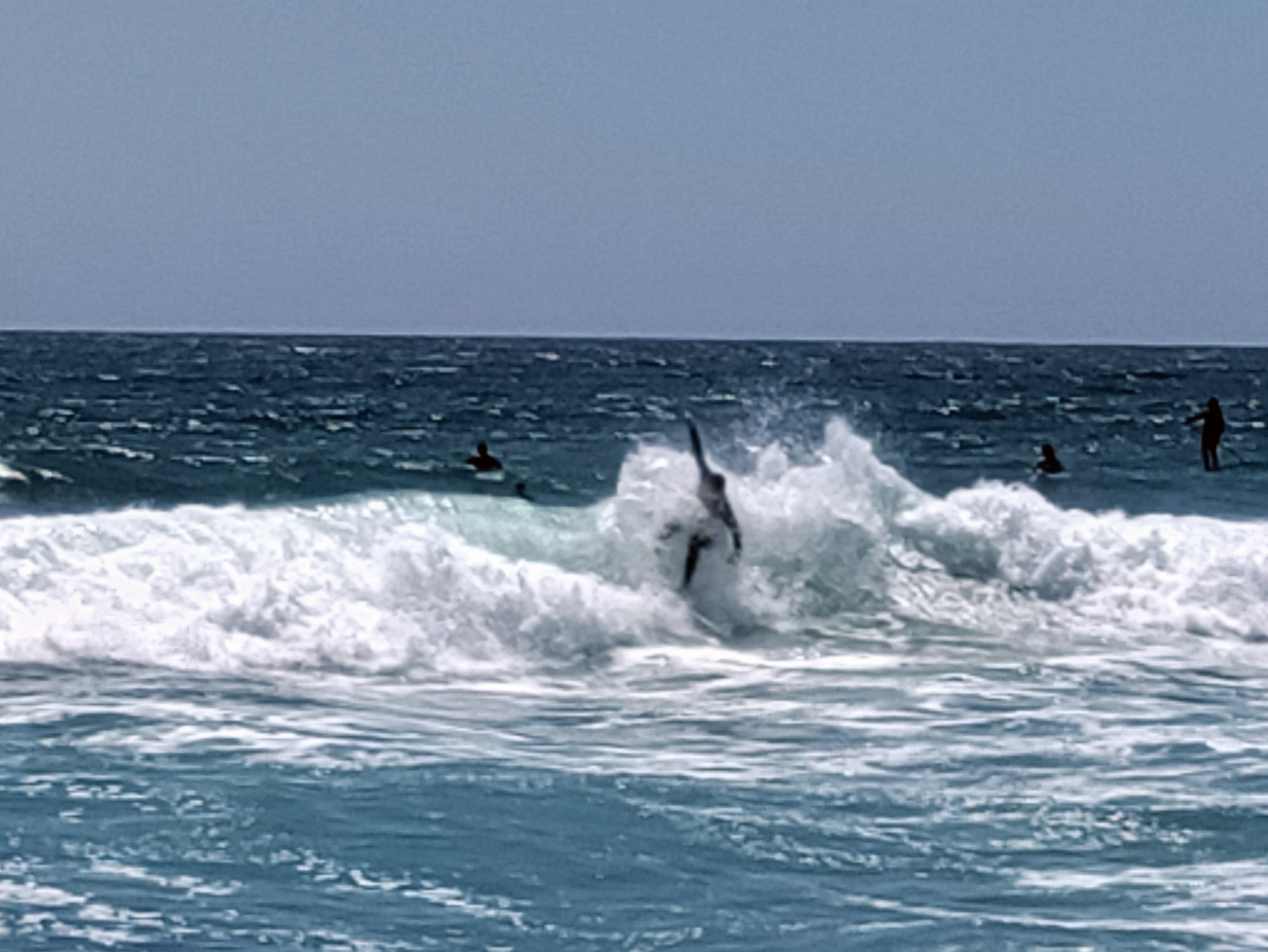 Kingdom Recognition – David Freitag